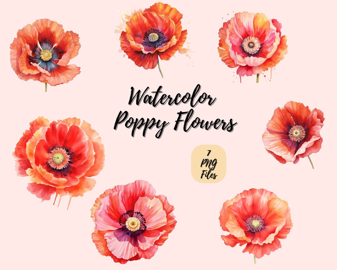 Watercolor Poppy | Digital Download | Wall Art | Watercolor Clipart ...