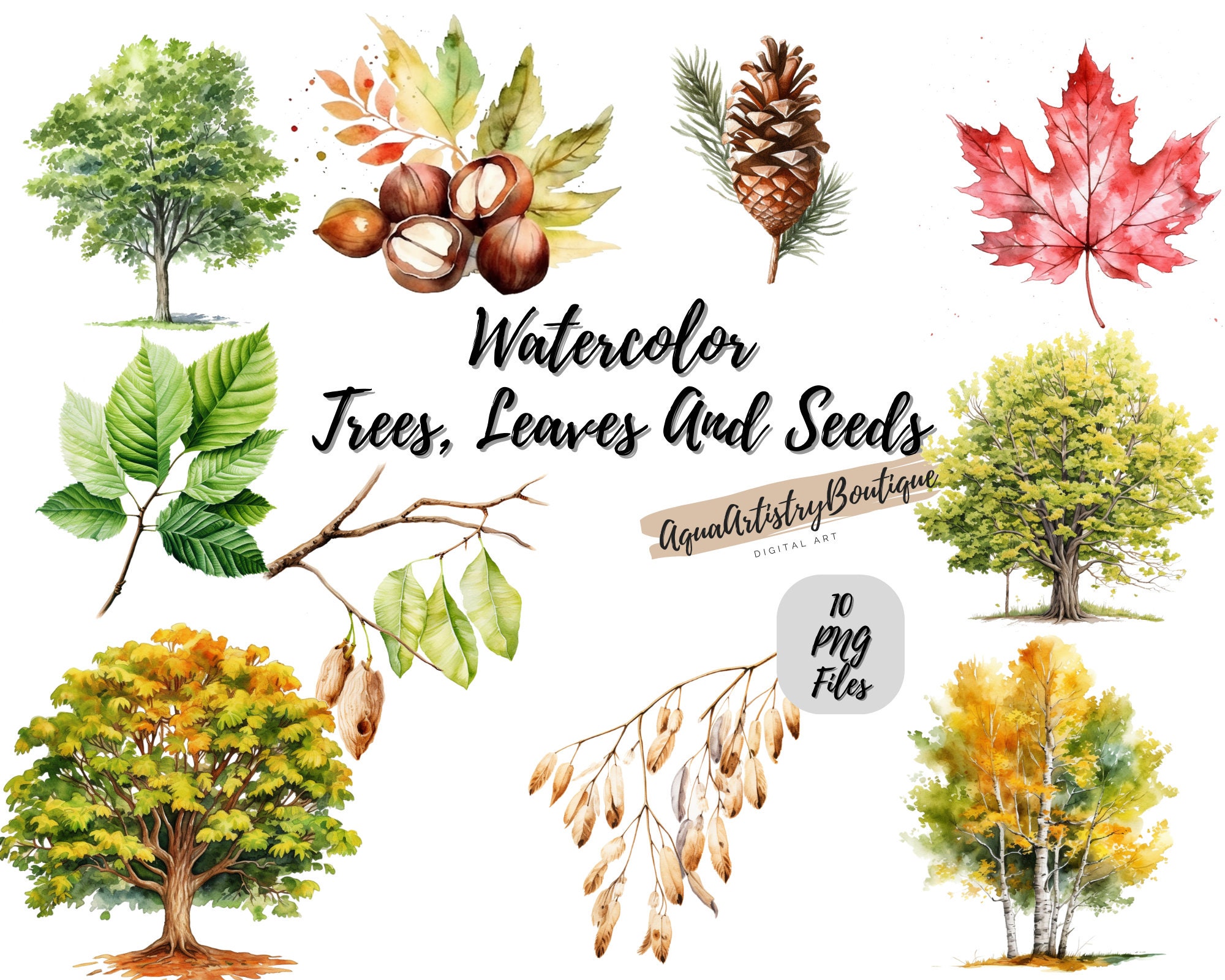 Tree Sprout Clipart