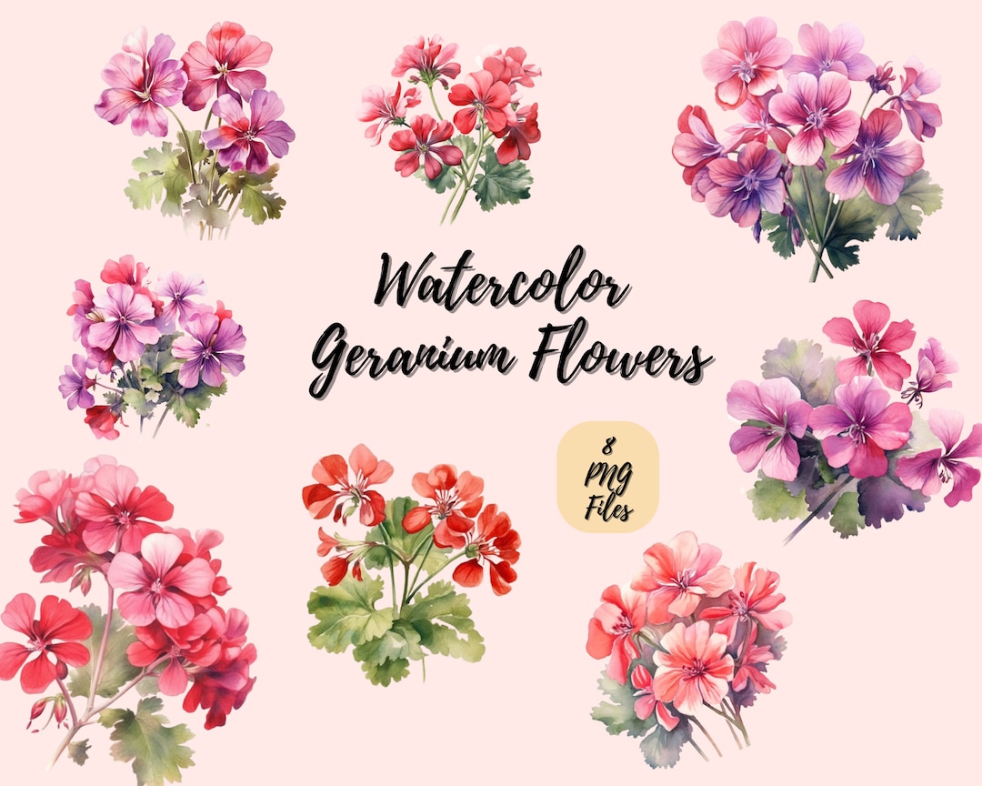 Watercolor Geranium | Digital Download | Wall Art | Watercolor Clipart ...