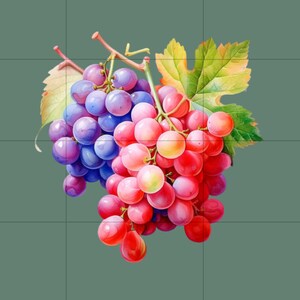 Watercolor Grapes | Digital Download | Wall Art | Watercolor Clipart ...