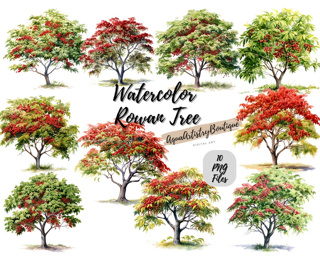Watercolor Rowan Tree | Digital Download | Wall Art | Watercolor ...