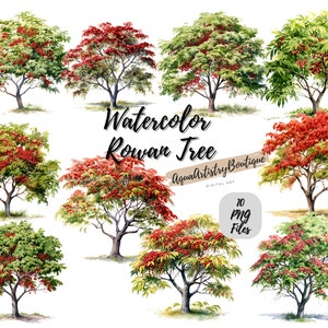 Watercolor Rowan Tree | Digital Download | Wall Art | Watercolor ...