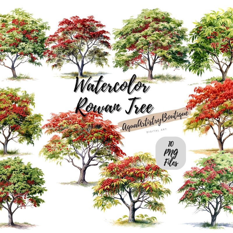 Rowan Tree Art - Etsy