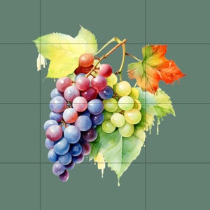 Watercolor Grapes | Digital Download | Wall Art | Watercolor Clipart ...
