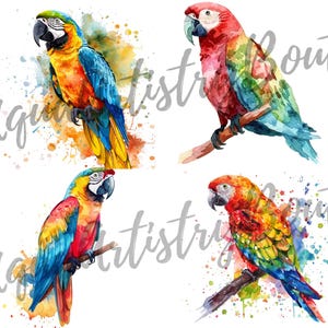 Watercolor Parrot | Digital Download | Wall Art | Watercolor Clipart ...