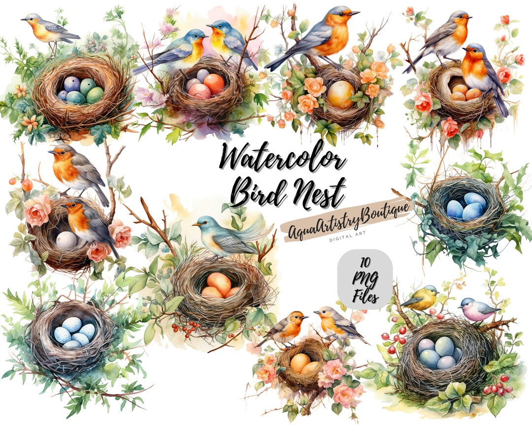 Watercolor Bird Nest | Digital Download | Wall Art | Watercolor Clipart ...
