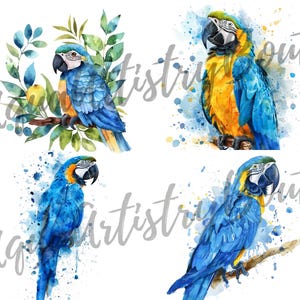 Watercolor Parrot | Digital Download | Wall Art | Watercolor Clipart ...