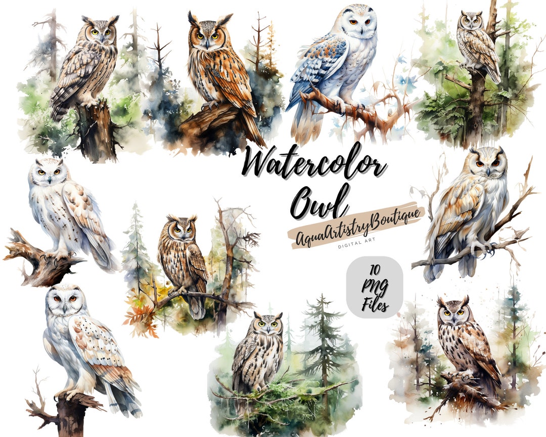 Watercolor Owl | Digital Download | Wall Art | Watercolor Clipart | Owl ...