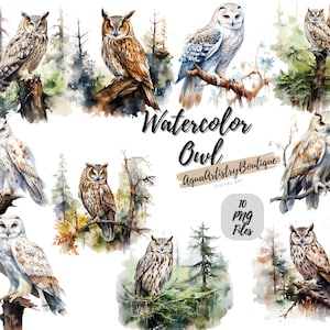 Watercolor Owl | Digital Download | Wall Art | Watercolor Clipart | Owl ...