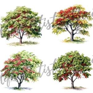 Watercolor Rowan Tree | Digital Download | Wall Art | Watercolor ...