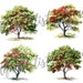 Watercolor Rowan Tree | Digital Download | Wall Art | Watercolor ...