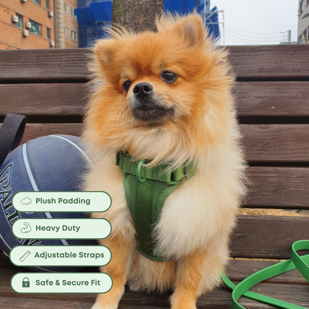 Premium Forest Green Padded Dog Harness Comfy & Secure Adjustable for ...