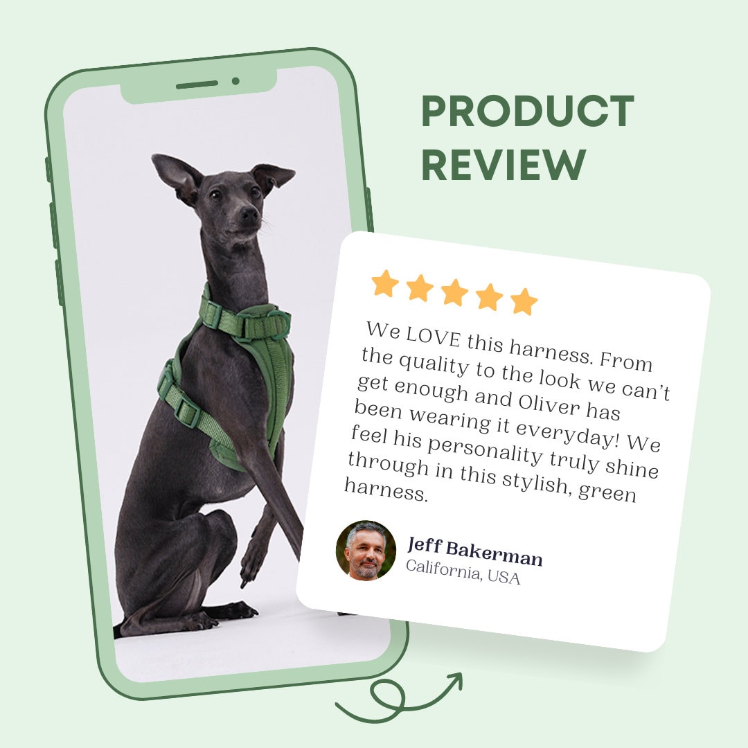 Premium Forest Green Padded Dog Harness Comfy & Secure Adjustable for ...