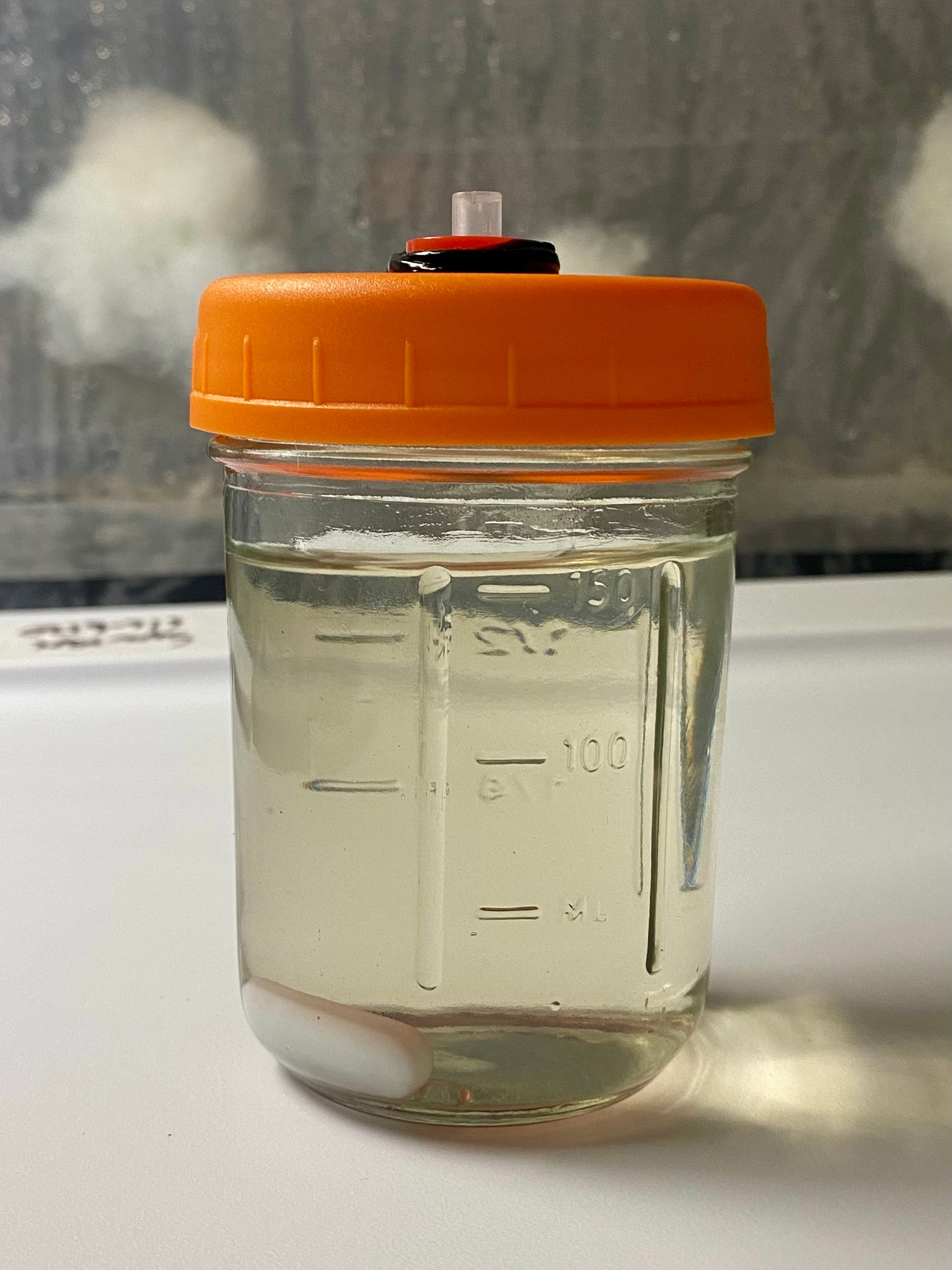 Half-pint Liquid Culture Jars 4-pack, Sterilized for Mushroom Growing ...