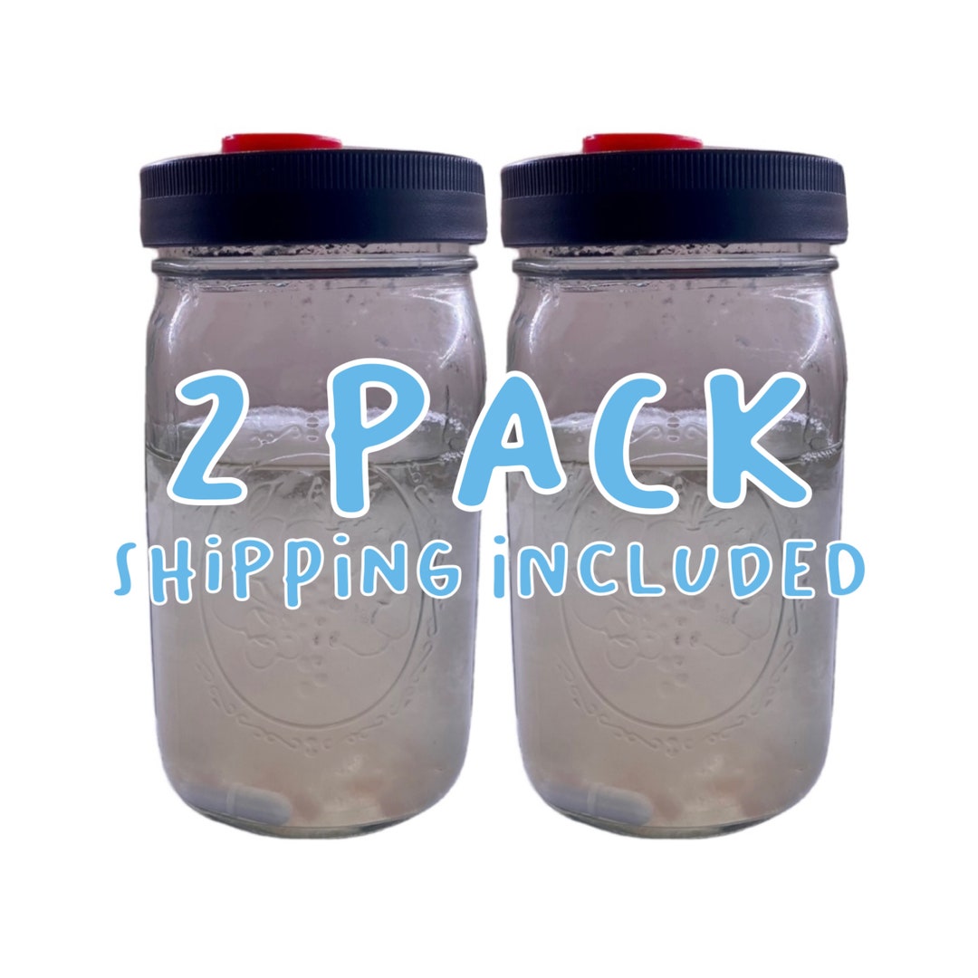 Liquid Culture Jars for Mushroom Cultivation: Sterile LME Peptones ...