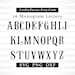 Fishtail Font SVG: Fancy Monogram Alphabet (digital Download) - Etsy