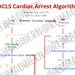 ACLS- Cardiac Arrest | Tachycardia | Bradycardia: Algorithms - Etsy