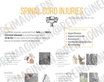 Nursing School Notes, Medsurg Neurology Spinal Cord Injury, This Cheat ...