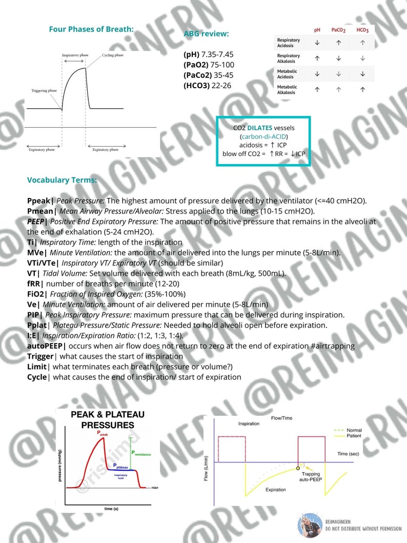Mechanical Ventilation Nursing Study Sheet - Etsy