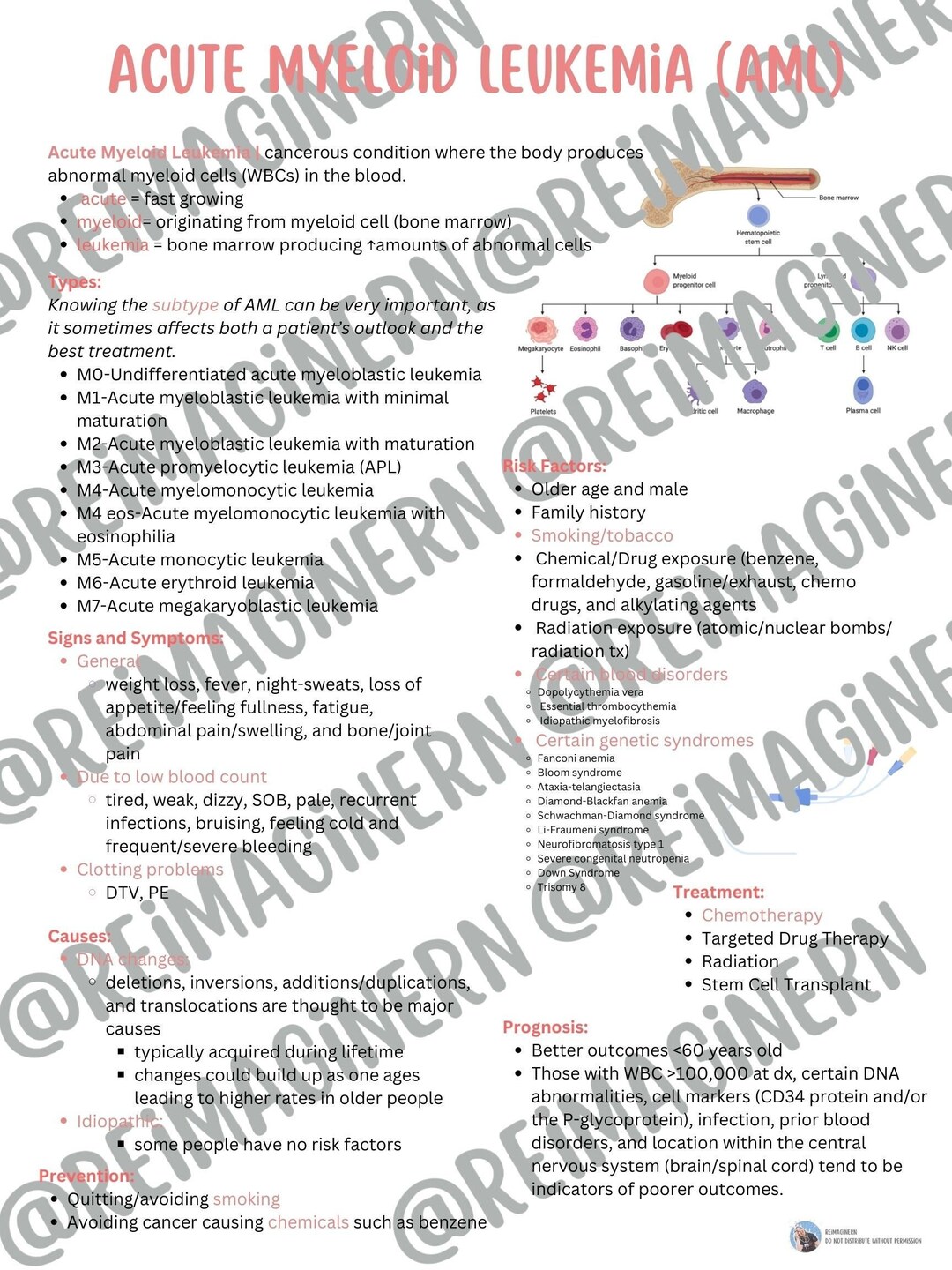 Acute Myeloid Leukemia (AML) | Nursing Study Sheet - Etsy