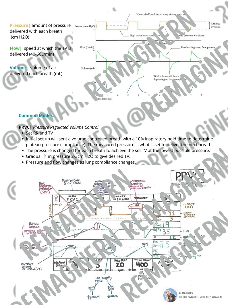 Mechanical Ventilation Nursing Study Sheet - Etsy