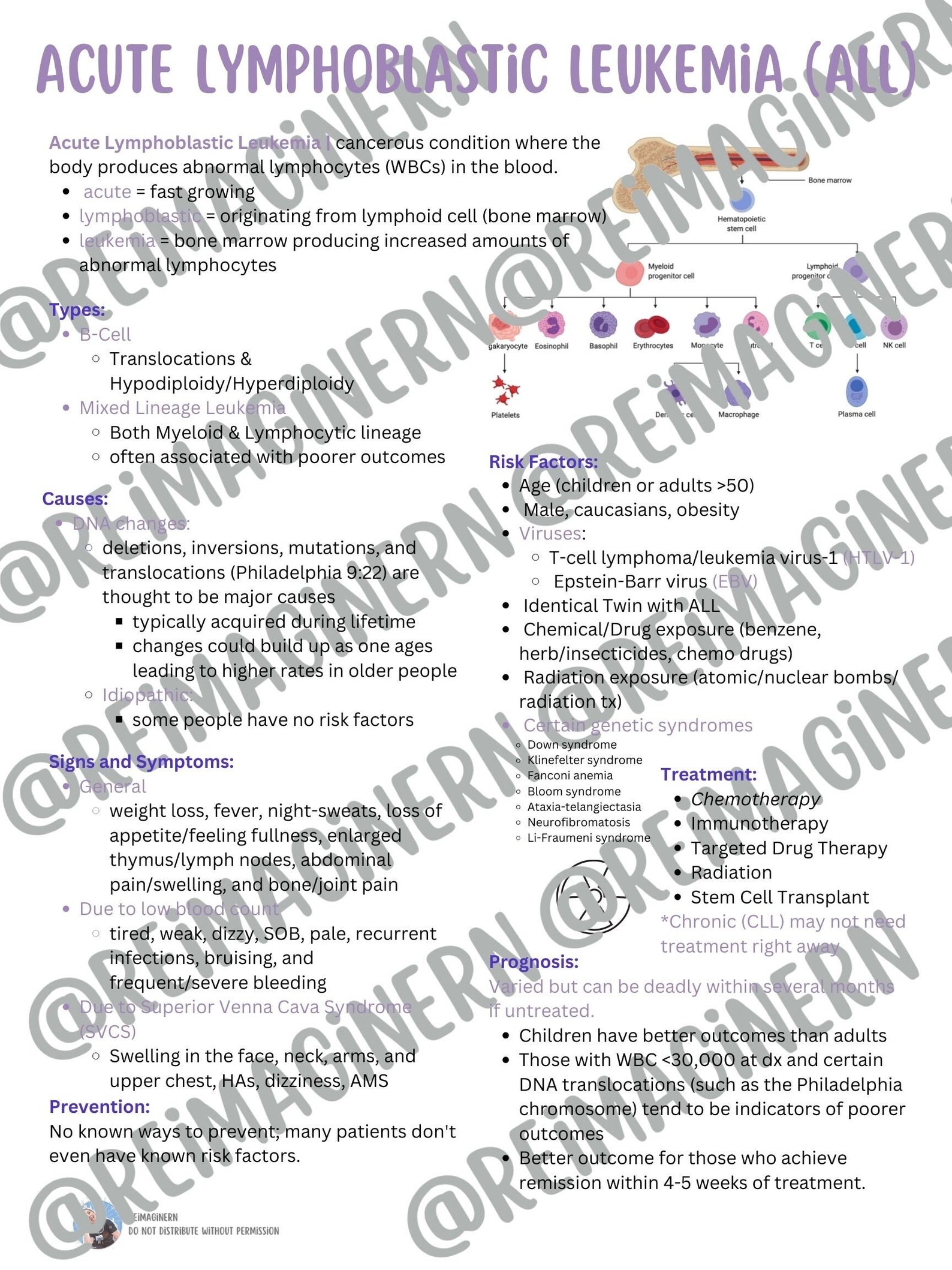 Acute Lymphoblastic Leukemia | Nursing Study Sheet - Etsy