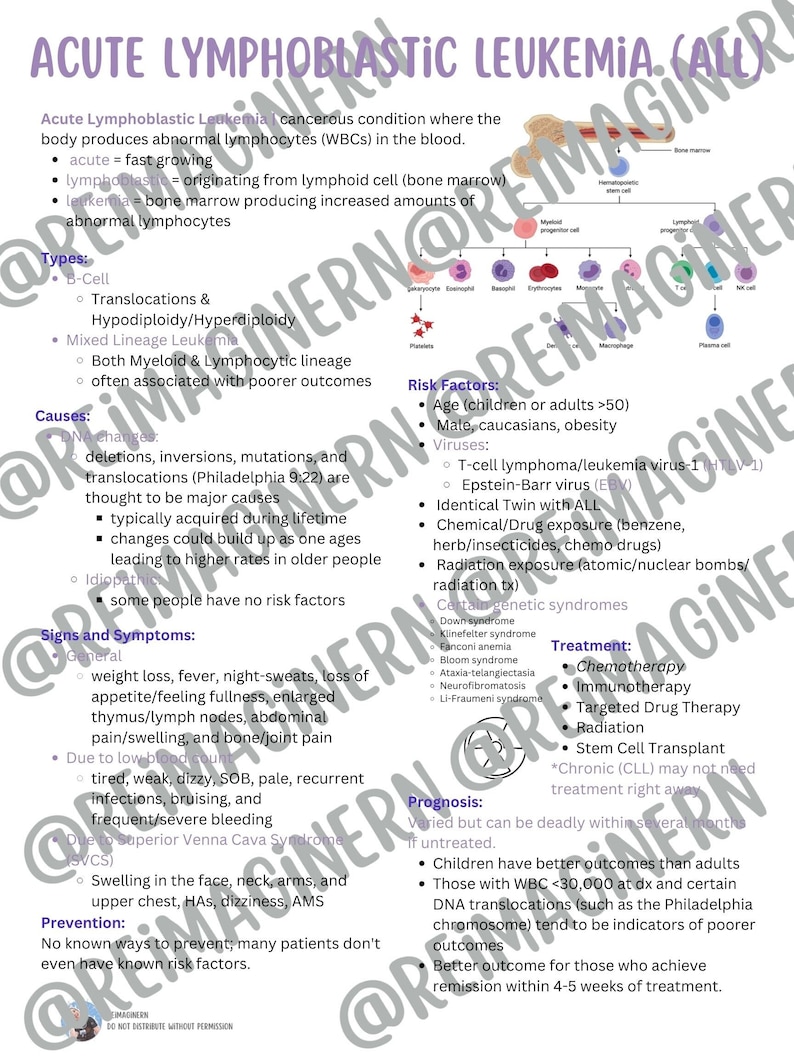 Acute Lymphoblastic Leukemia | Nursing Study Sheet - Etsy