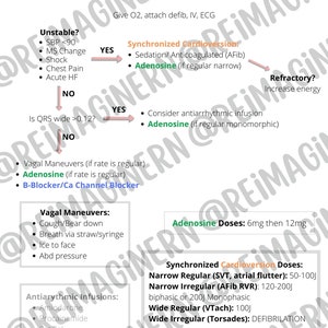 ACLS- Cardiac Arrest | Tachycardia | Bradycardia: Algorithms - Etsy