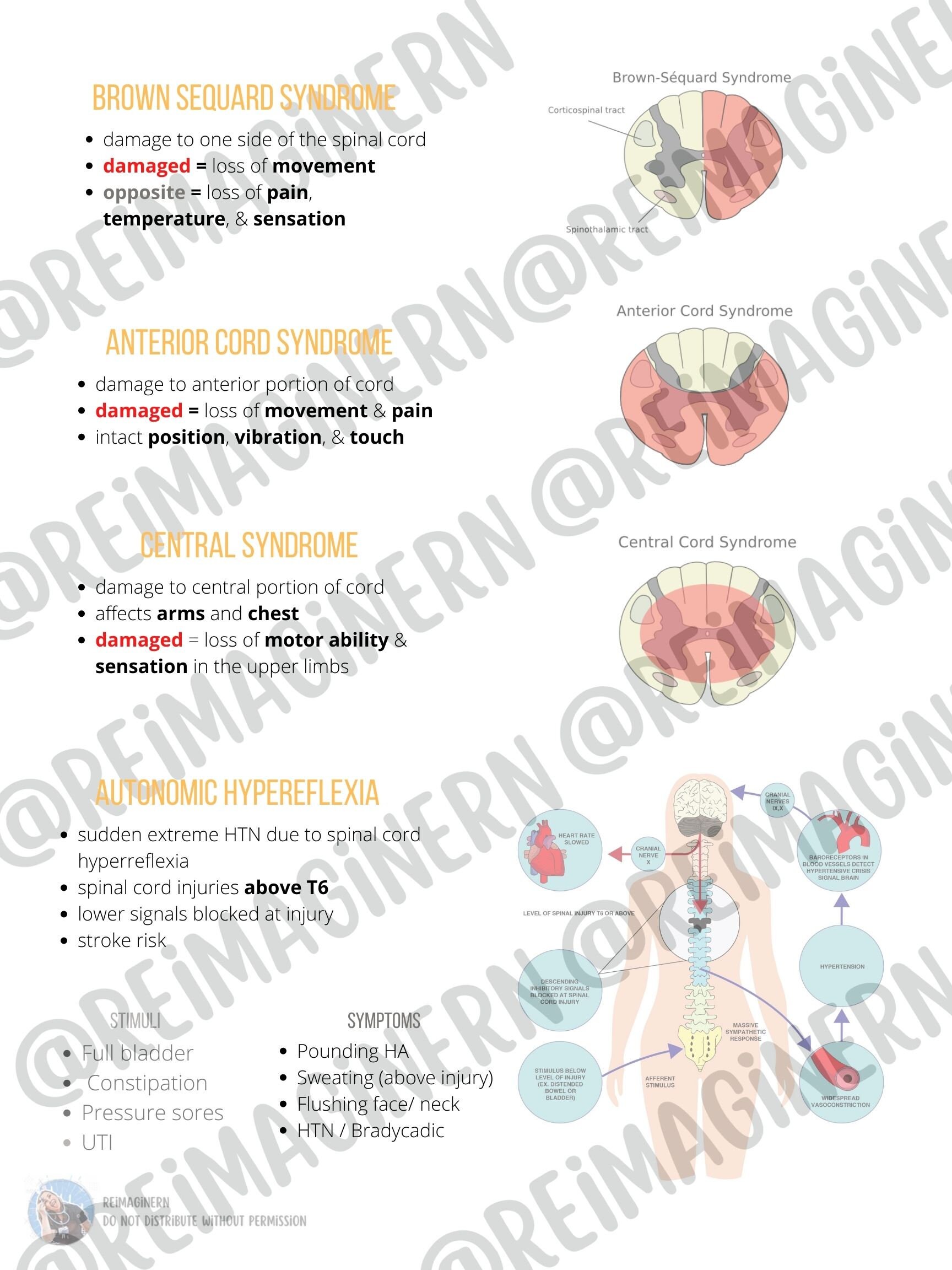 Spinal Cord Injuries | Nursing Study Sheet - Etsy