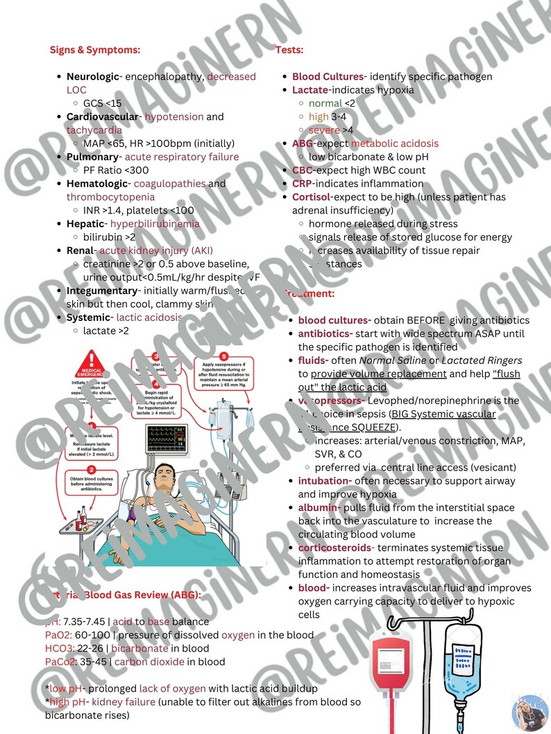 Septic Shock Nursing Study Sheet - Etsy