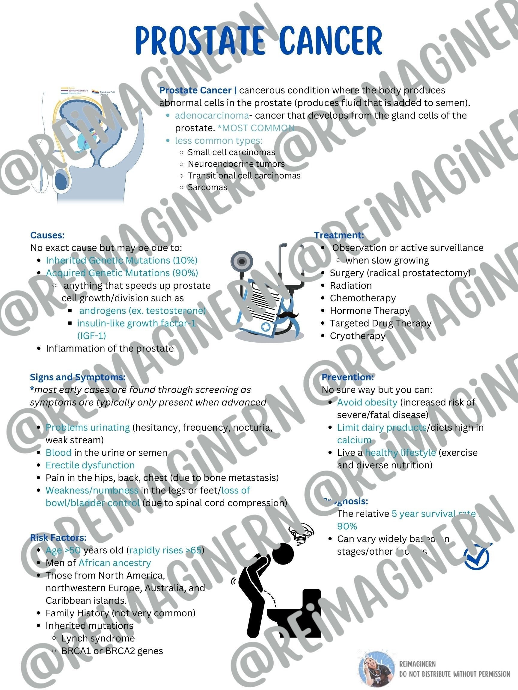 Prostate Cancer | Nursing Study Sheet - Etsy