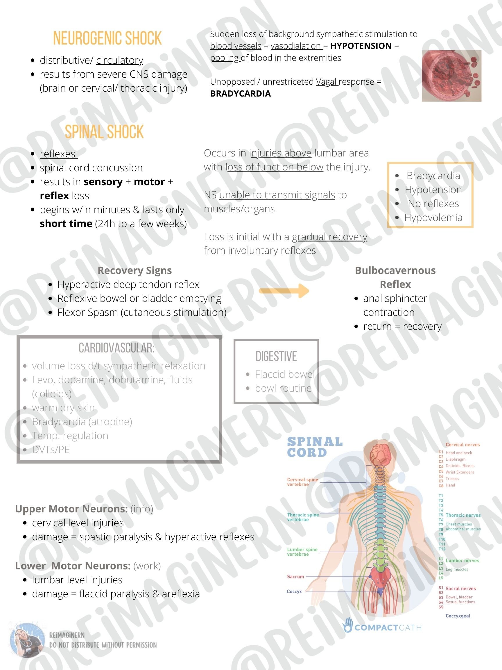 Spinal Cord Injuries | Nursing Study Sheet - Etsy