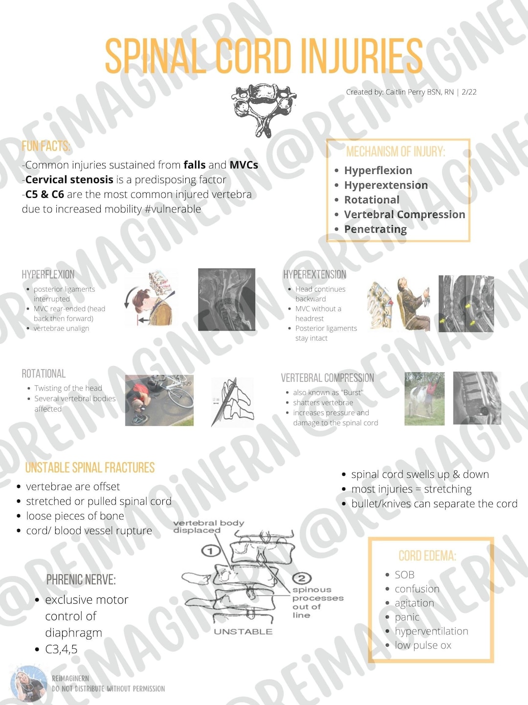 Spinal Cord Injuries | Nursing Study Sheet - Etsy
