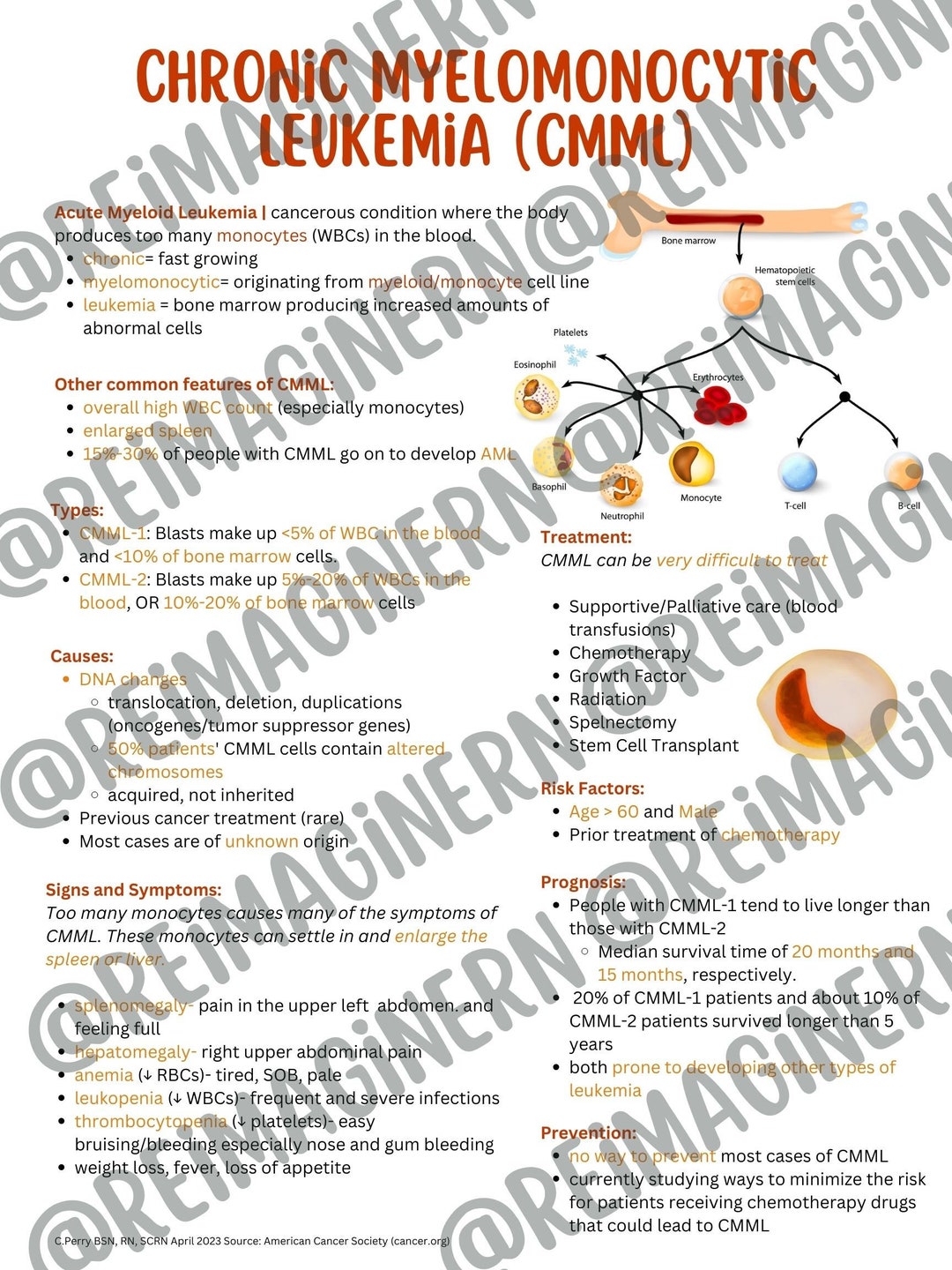 Chronic Myelomonocytic Leukemia Nursing Study Sheet - Etsy
