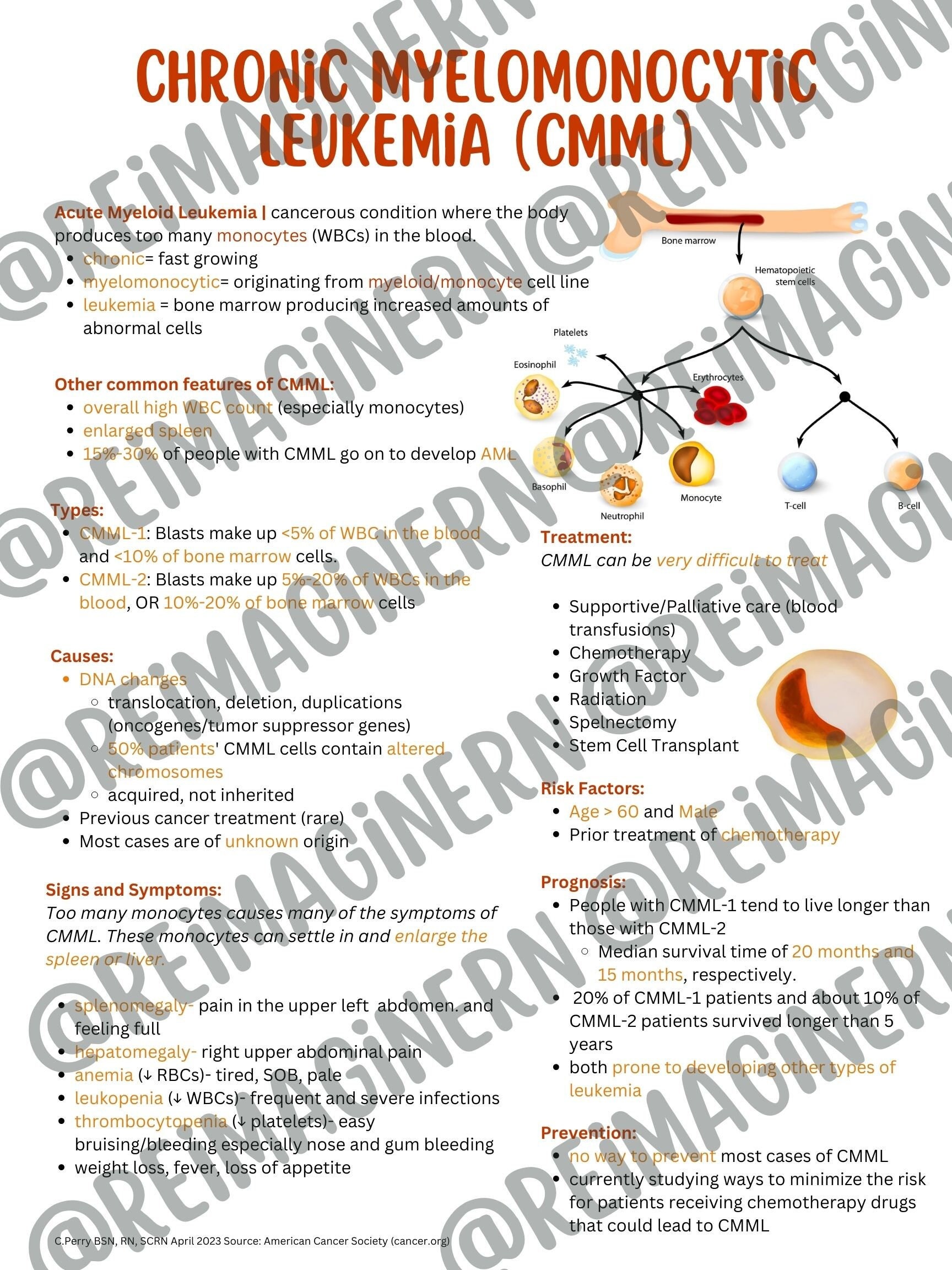 Chronic Myelomonocytic Leukemia Nursing Study Sheet - Etsy