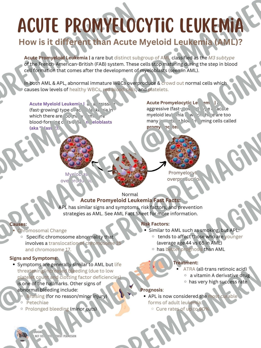 Acute Promyelocytic Leukemia | Nursing Study Sheet - Etsy