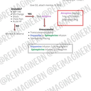 ACLS- Cardiac Arrest | Tachycardia | Bradycardia: Algorithms - Etsy