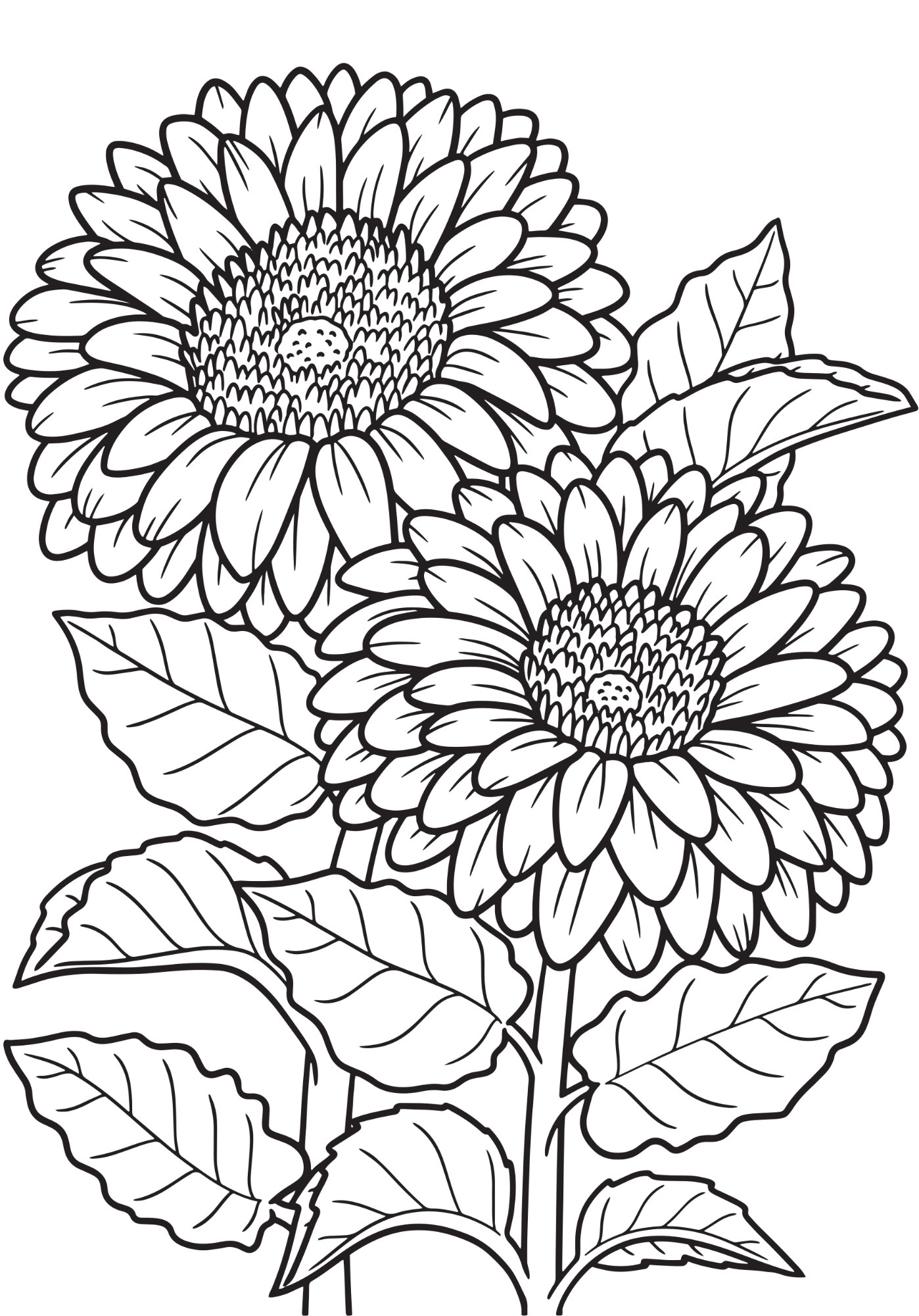 5 Floral Coloring Sheets Printable Flower Illustration for Relaxation ...