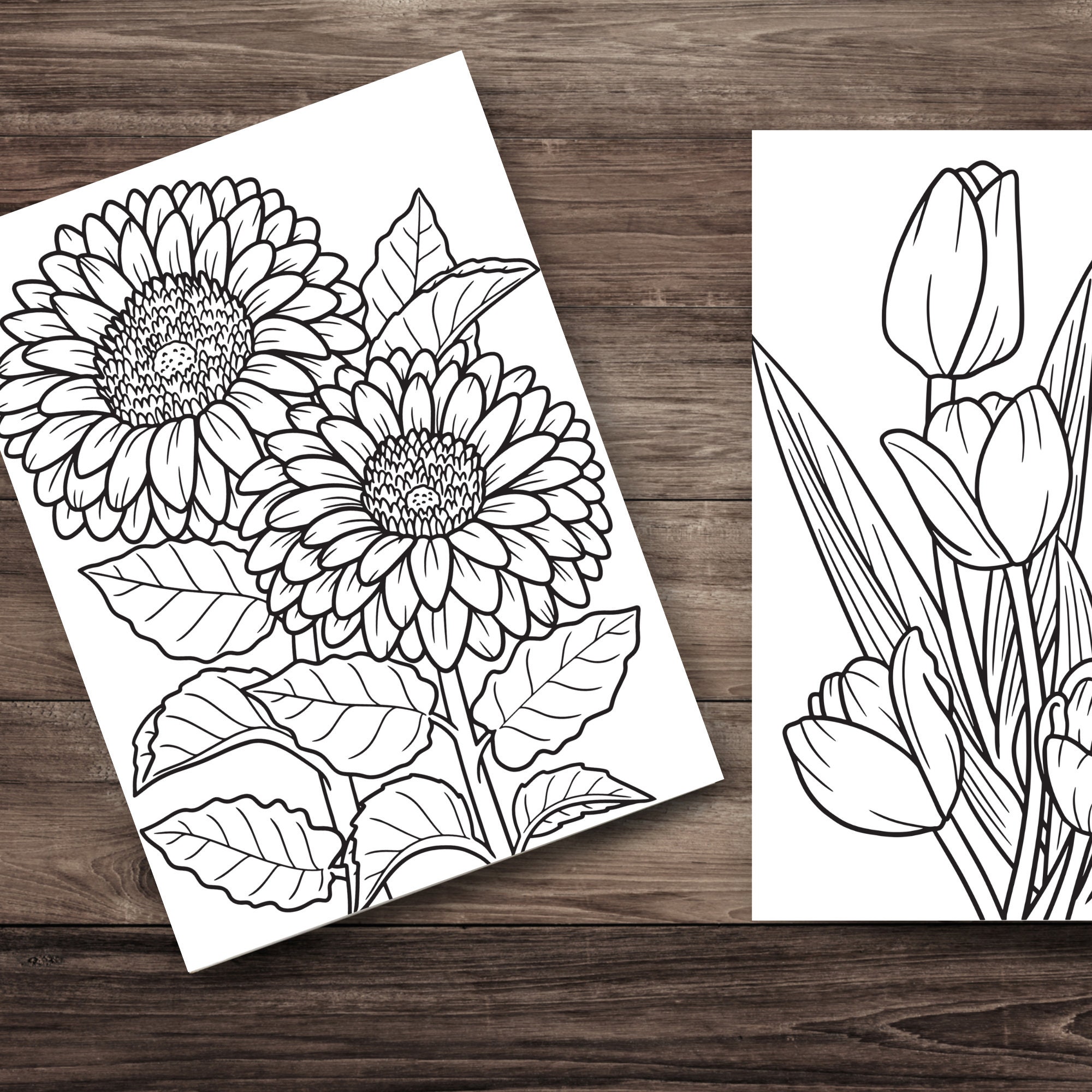 5 Floral Coloring Sheets - Printable Flower Illustration for Relaxation ...