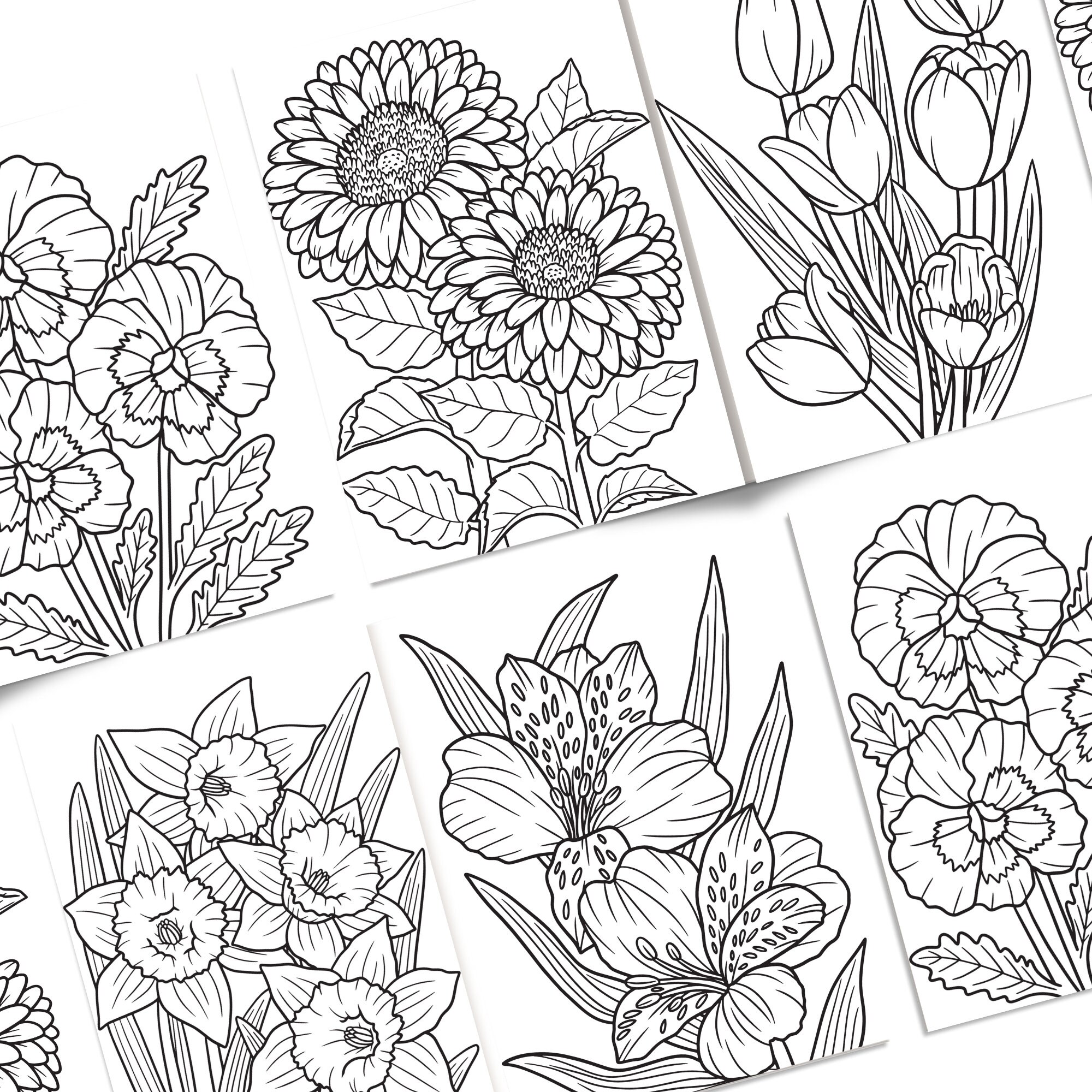 5 Floral Coloring Sheets Printable Flower Illustration for Relaxation ...