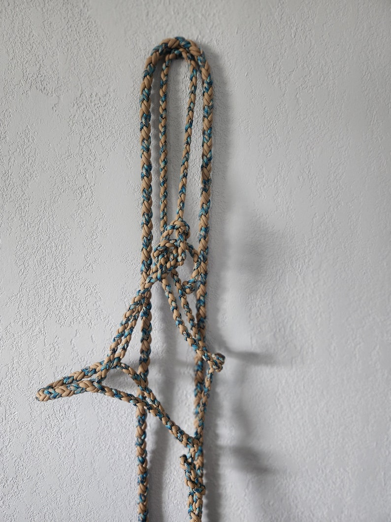 Custom Paracord Halters - Etsy