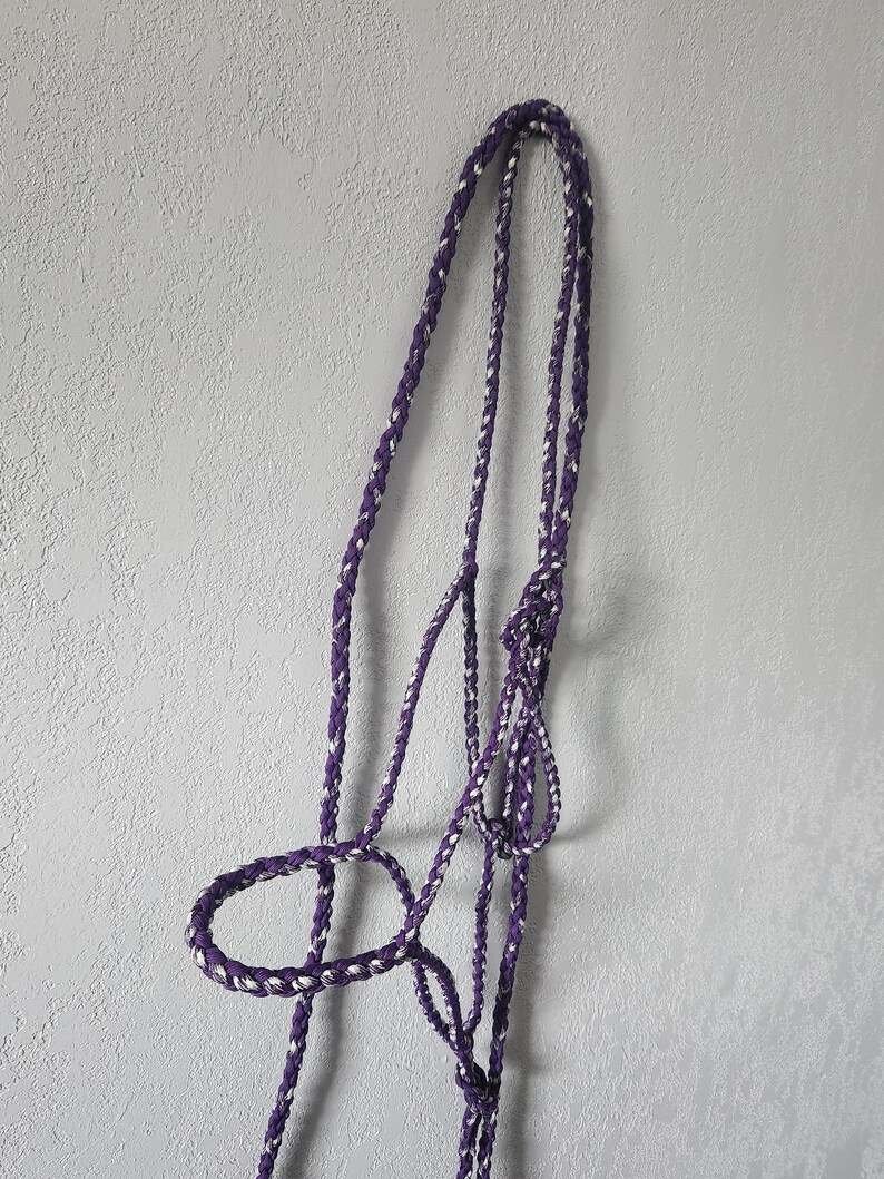 Custom Paracord Halters - Etsy