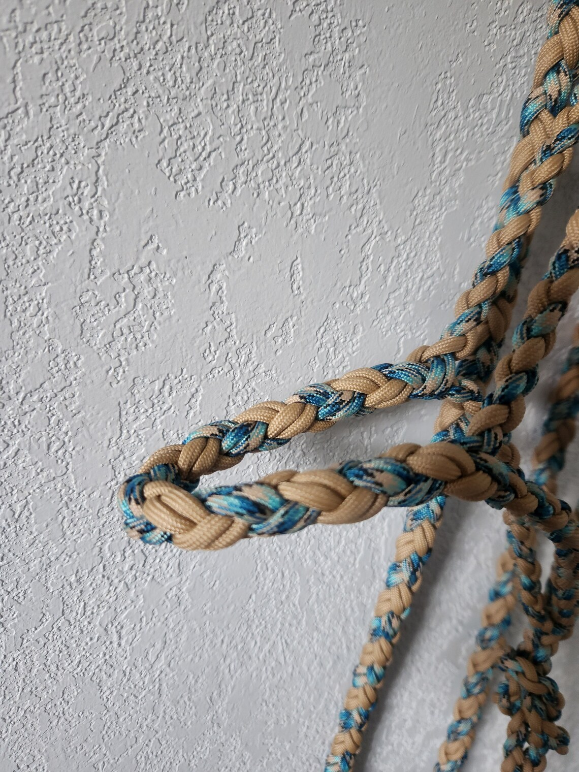 Custom Paracord Halters - Etsy