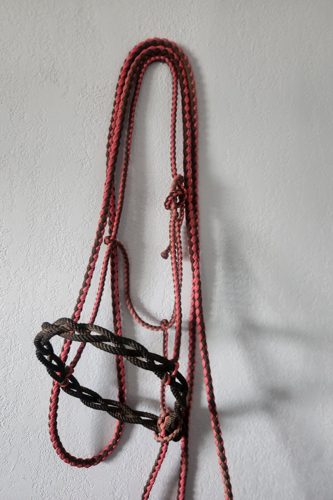 Custom Paracord Halters - Etsy