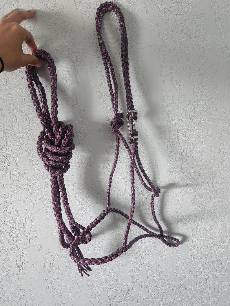 Custom Paracord Halters - Etsy