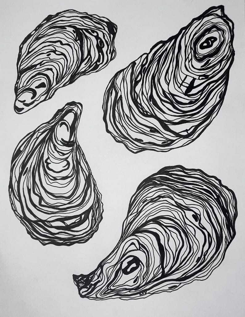 Oyster Shells - Etsy