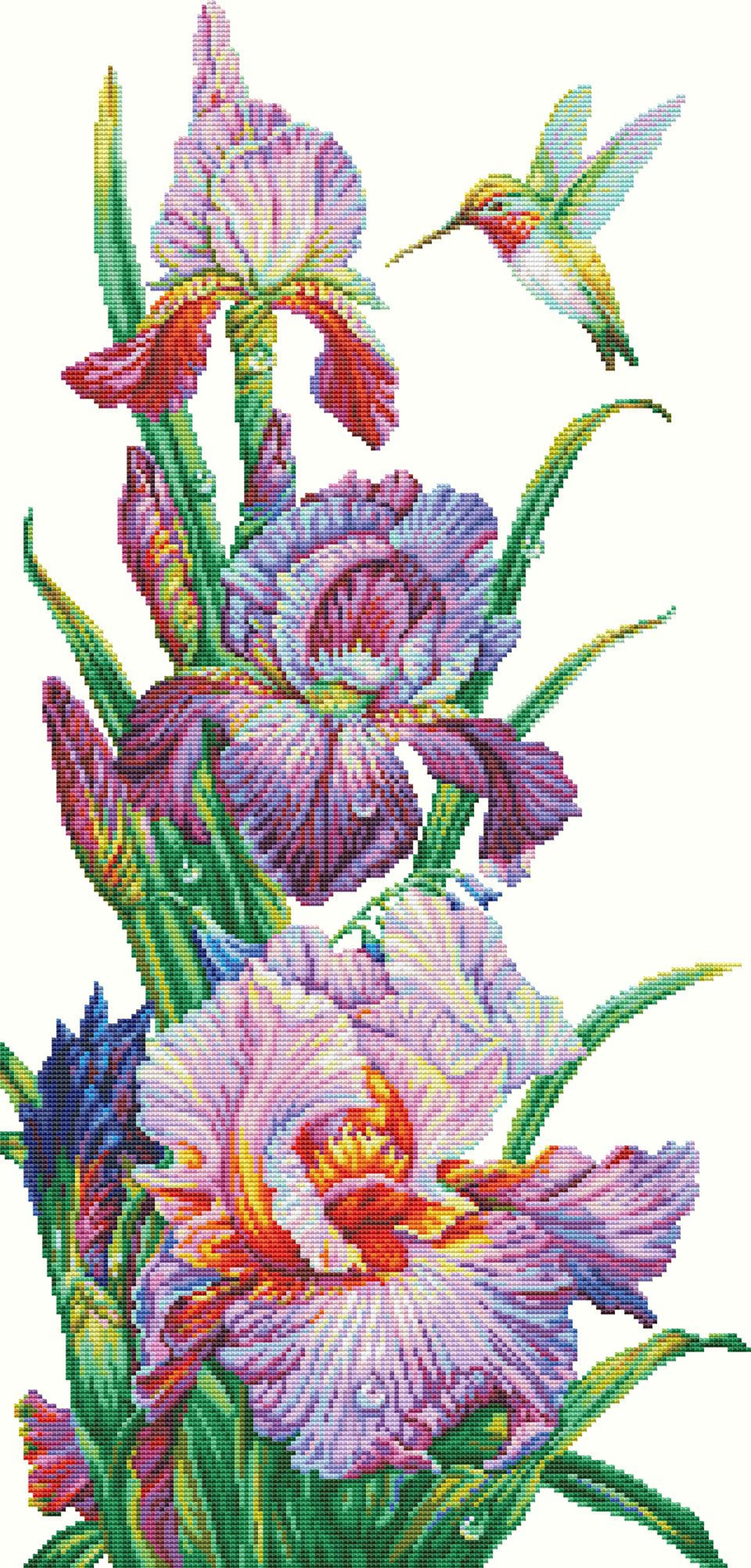 Irises and Hummingbirds, Counted Cross Stitch Pattern, Floral Bird ...