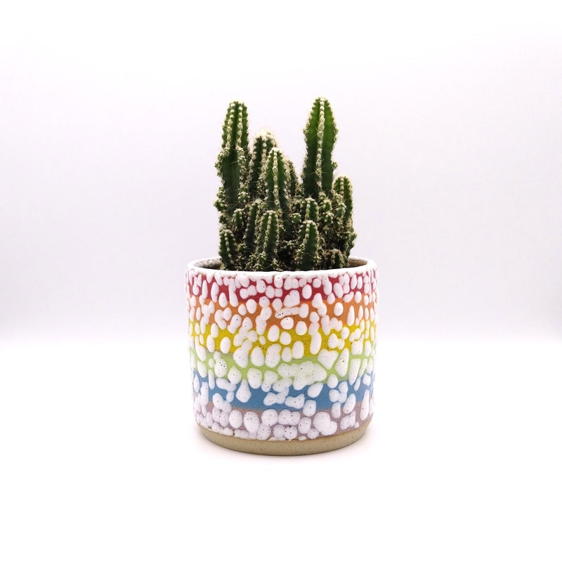 Rainbow Planters Indoor - Etsy UK