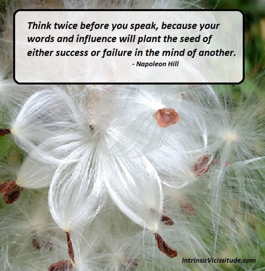 Digital Download Printable Frameable Image of a Milkweed Seed Pod With ...