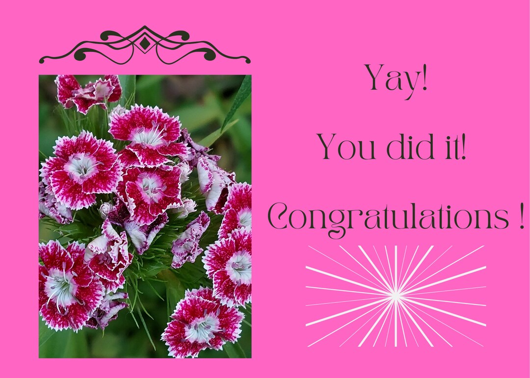 Digital Animated or Printable Pink Congratulations Card With - Etsy